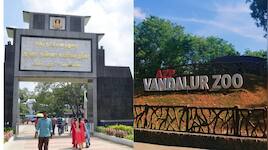 Eruma Saani Vijay News in Tamil, Latest Eruma Saani Vijay news, photos ...