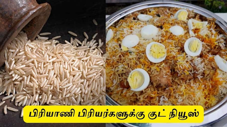 Good News for Biryani Lovers: Basmati Rice Prices May Drop Amid Hormuz ...