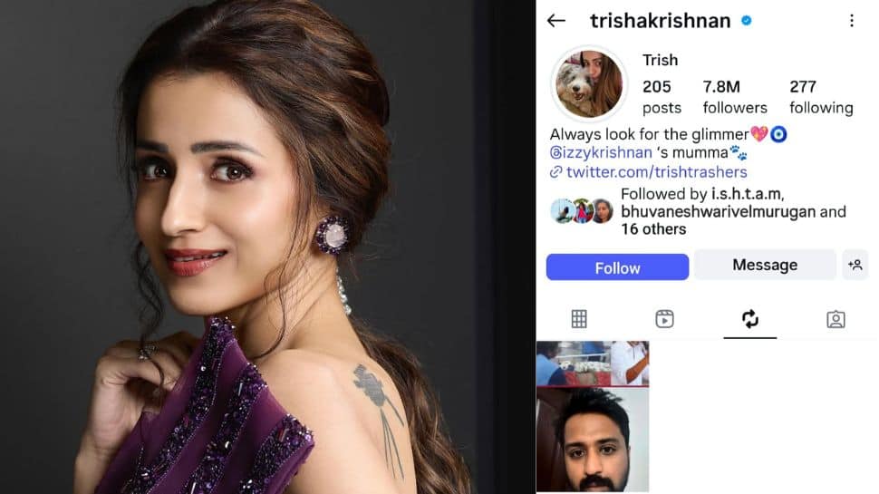 Actress Trisha Repost Reels On Instagram Regarding Vijay TVK Karur ...