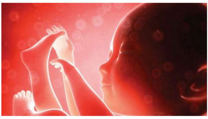 The Medical Termination Of Pregnancy Act News In Tamil Latest The Medical Termination Of the-medical-termination-of-pregnancy-act-news-in-tamil-latest-the-medical-termination-of