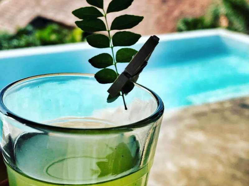 Benefits Of Drinking Curry Leaves Water | இந்த பச்சை இலை தண்ணீரில் ...