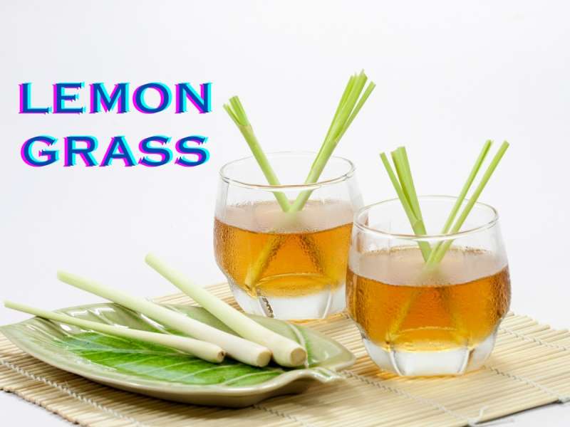 how to make lemongrass tea in tamil